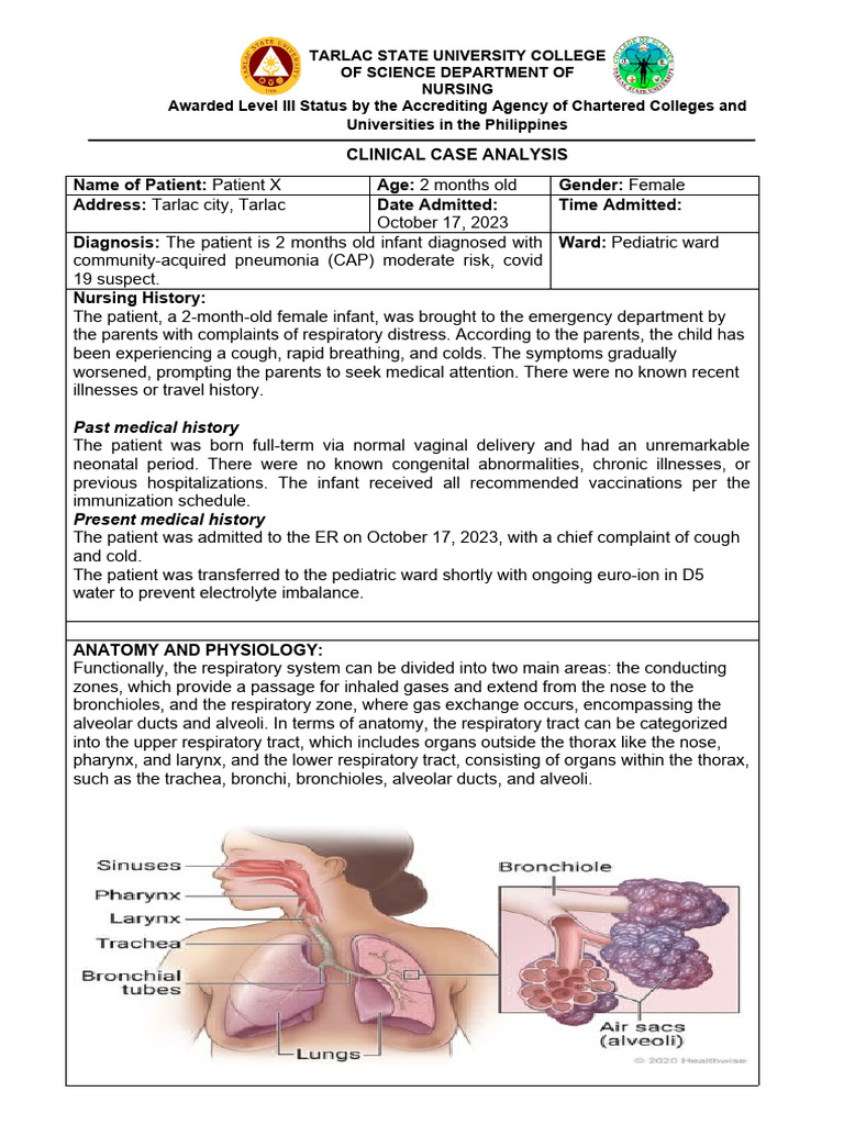 Case Analysis Pneumonia | Download Free PDF | Respiratory Tract | Lung