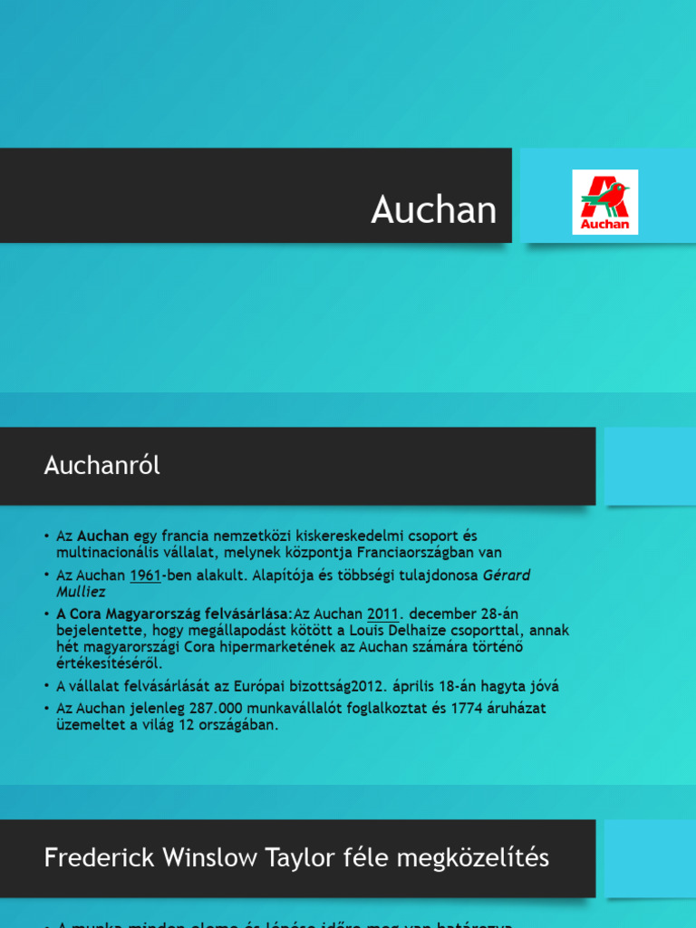 Auchan Prezi 1.1 | PDF