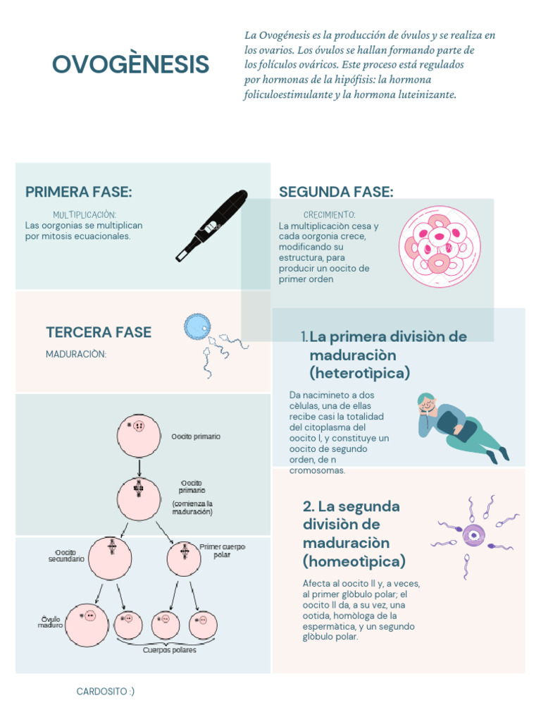 Blue and Green Self-Quarantine Guidelines Coronavirus Poster | PDF