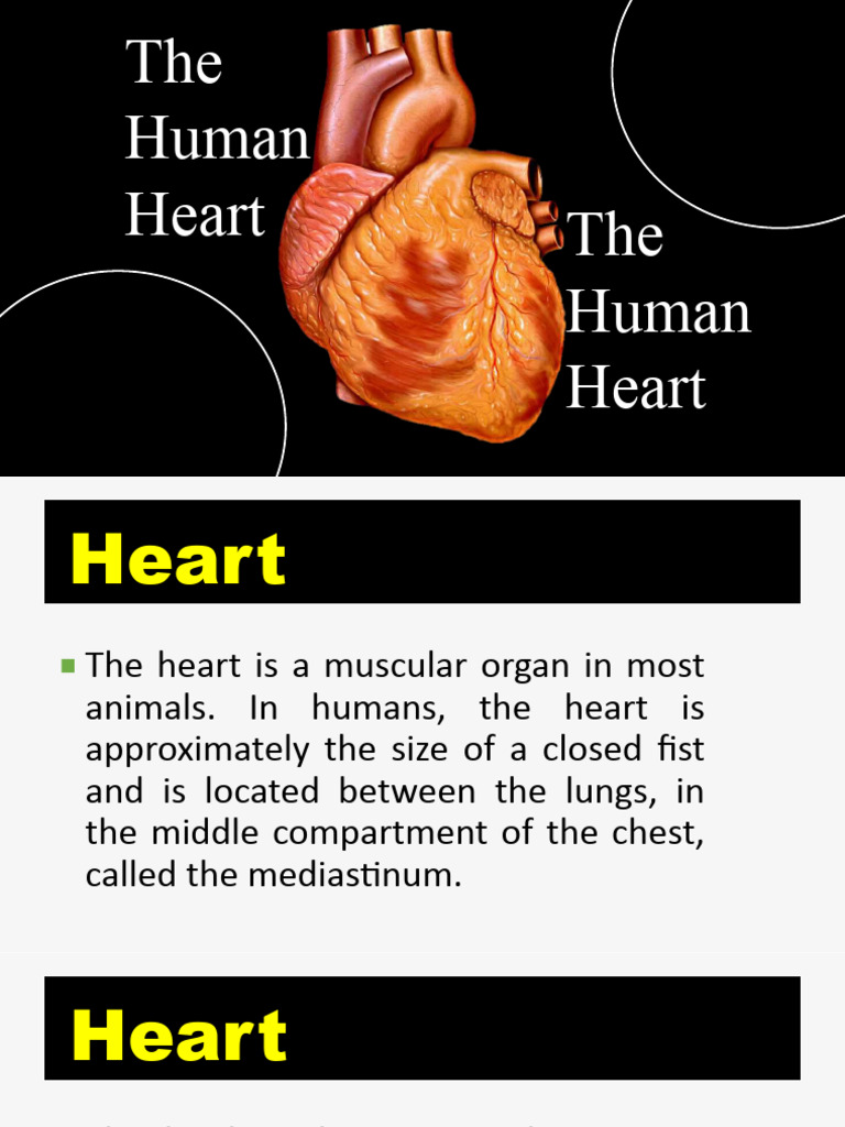 Heart | PDF