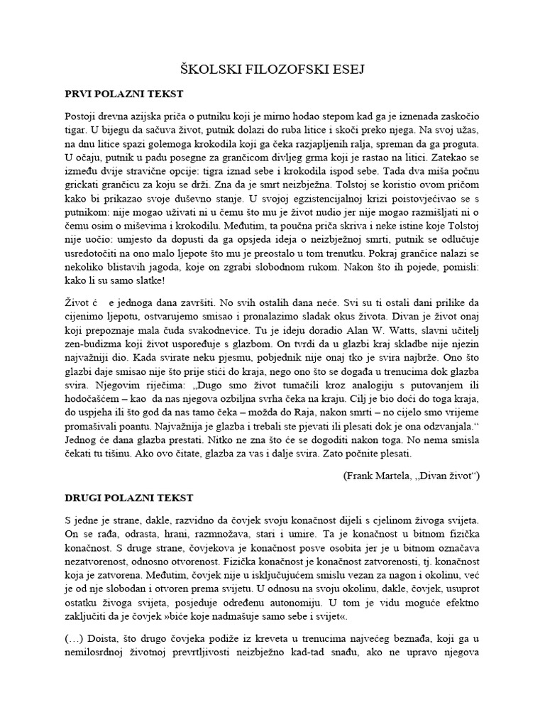 Filozofski Esej | PDF