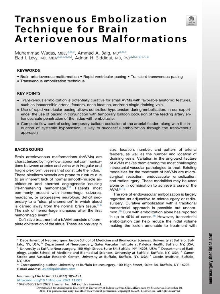 2022 Transvenous Embolization Technique For Brain Arteriovenous ...