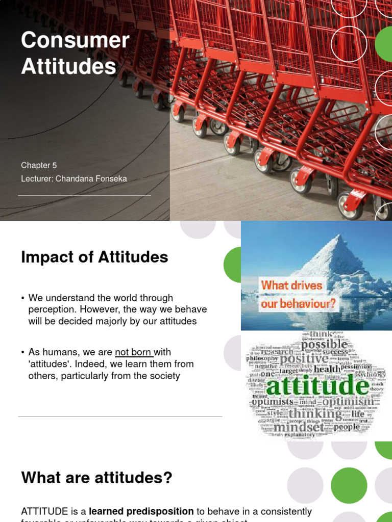 Lesson - Attitudes | PDF | Attitude (Psychology) | Brand