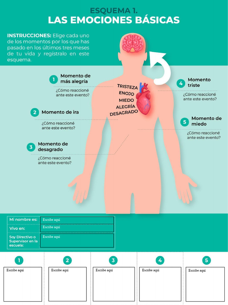 Esquema 1 Las Emociones Basicas Pdf