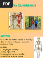 Kostur Čovjeka | PDF