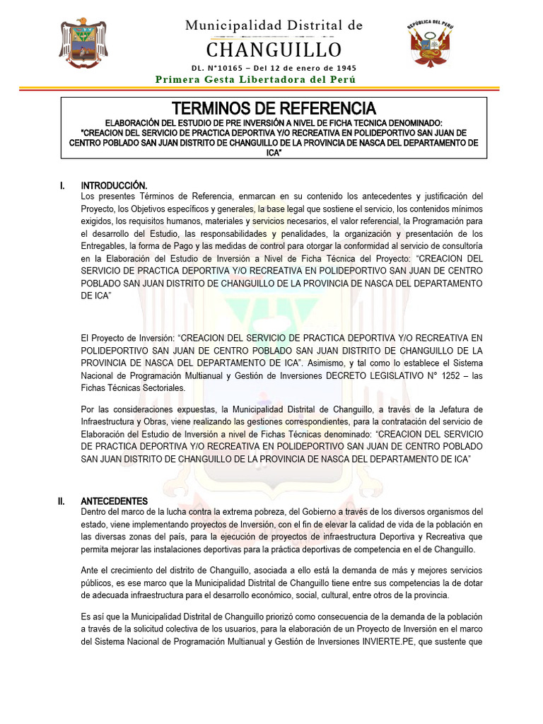 TDR Estudio de Preinversion A Nivel de Ficha Tecnica San Juan ...