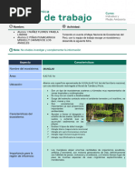 Sabana Húmeda Con Palmeras (Pampas Del Heath) | PDF | Deforestación ...