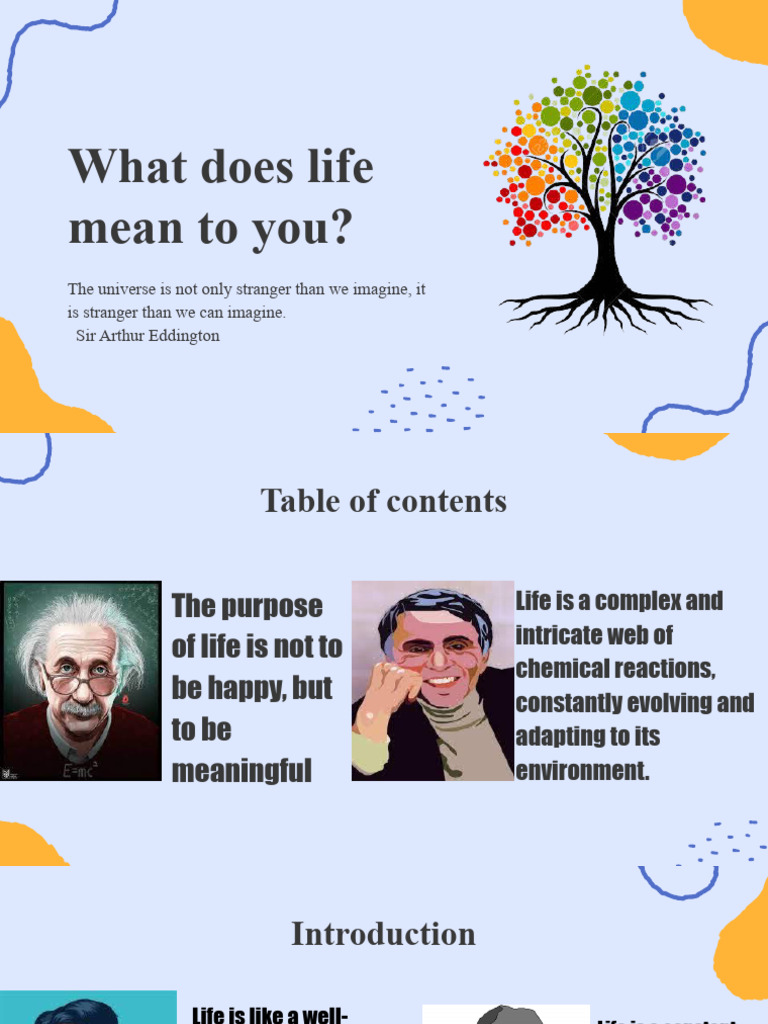 The Meaning of Life Slides | PDF