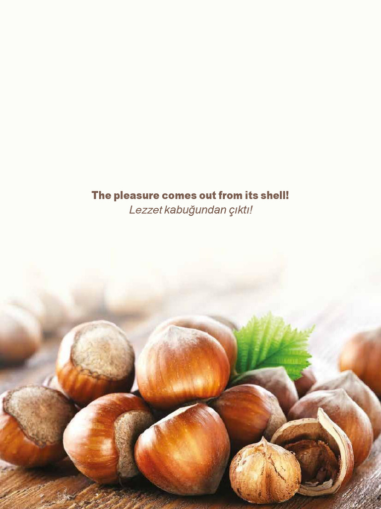 Hazelnut Catalog Organic | PDF