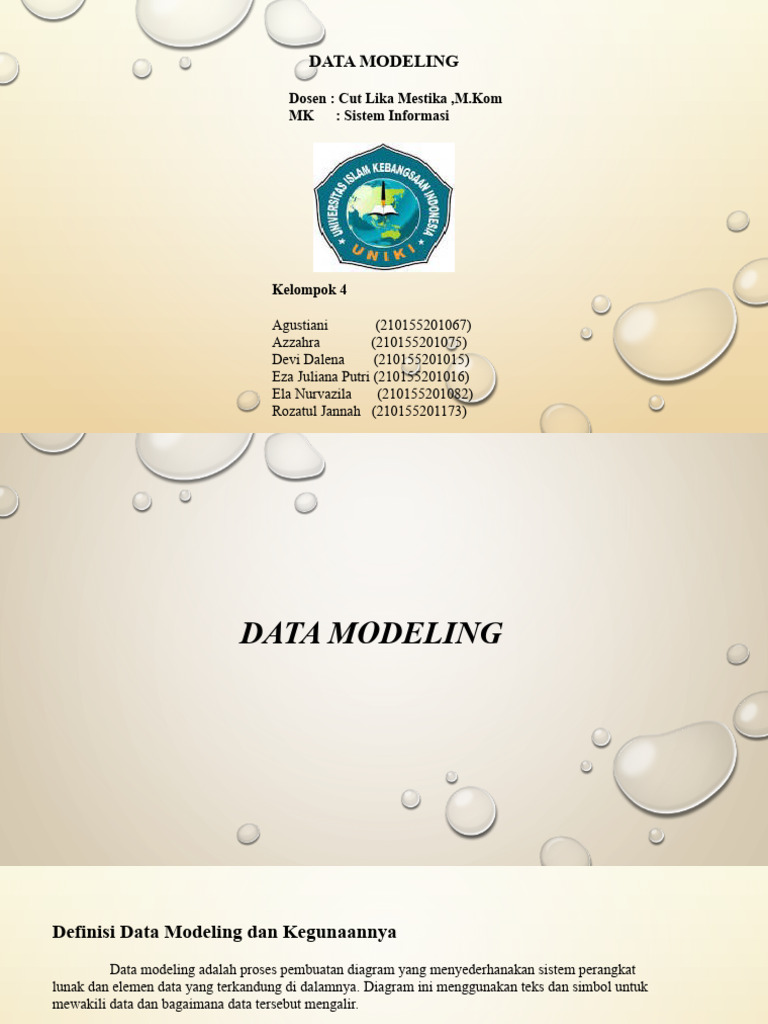 Kelompok4 SistemInformasi (DataModeling) 2new-1 | PDF