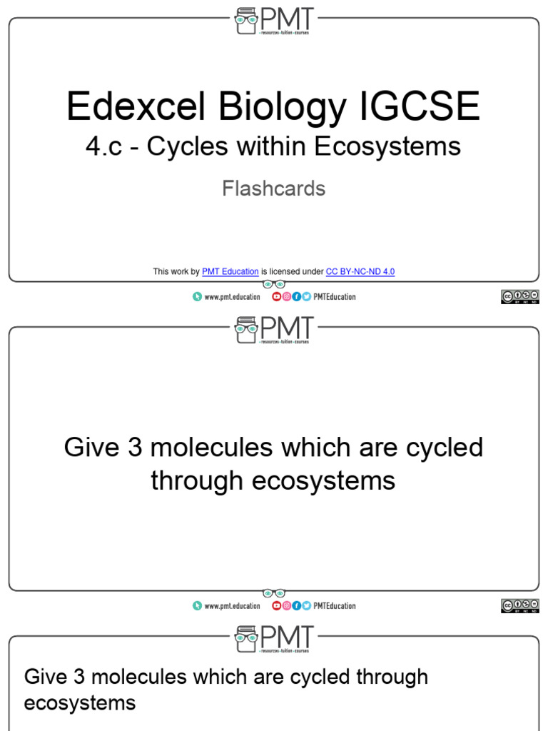 Flashcards - 4c Cycles Within Ecosystems - Edexcel Biology IGCSE | PDF