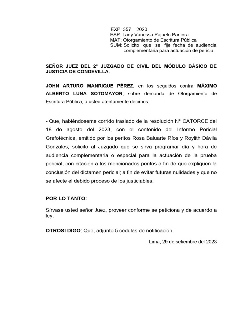 Solicito Se Fije Fecha de Audiencia Complementaria - John Manrique-Otorgamiento E.P. | PDF