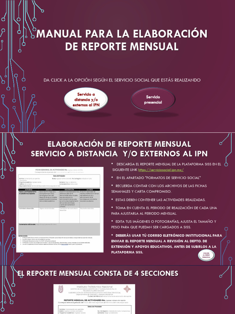 Manual para Reporte Mensual de Actividades | PDF | Finanzas y dinero