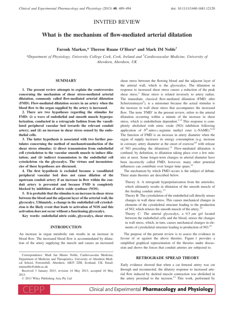 What Is The Mechanism of Flow-Mediated Arterial Dilatation | PDF ...