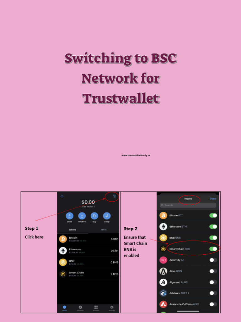 BSC Network Trustwallet | PDF