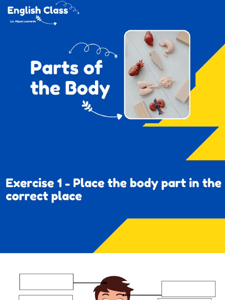 Parts of The Body | PDF