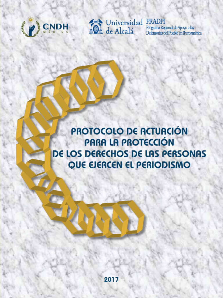 2017 - CNDH - Protocolo de Actuación para La Protección de Los Derechos ...