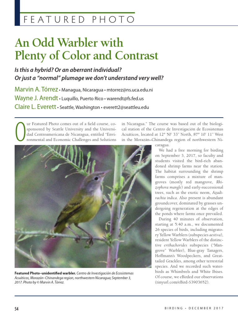 An Odd Warbler With Plenty of Color and Contrast | PDF | Birds | Ornithology
