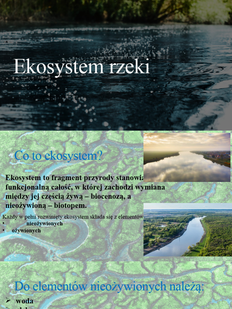 Ekosystem Rzeki | PDF