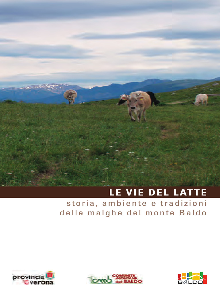 Le Vie Del Latte | PDF