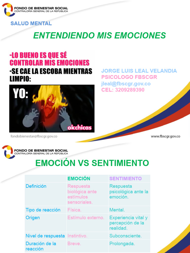 Entendiendo Mis Emociones | PDF | Las emociones | Mente