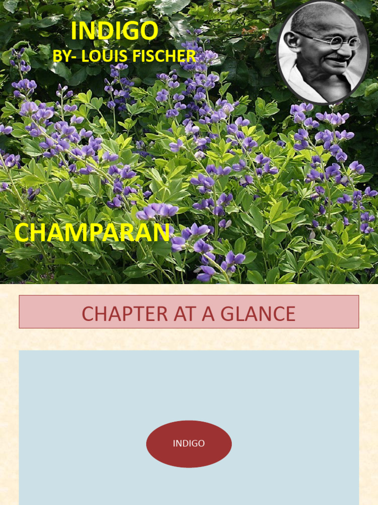 Indigo - Xii - Flamingo - Teacher Resource | Download Free PDF ...