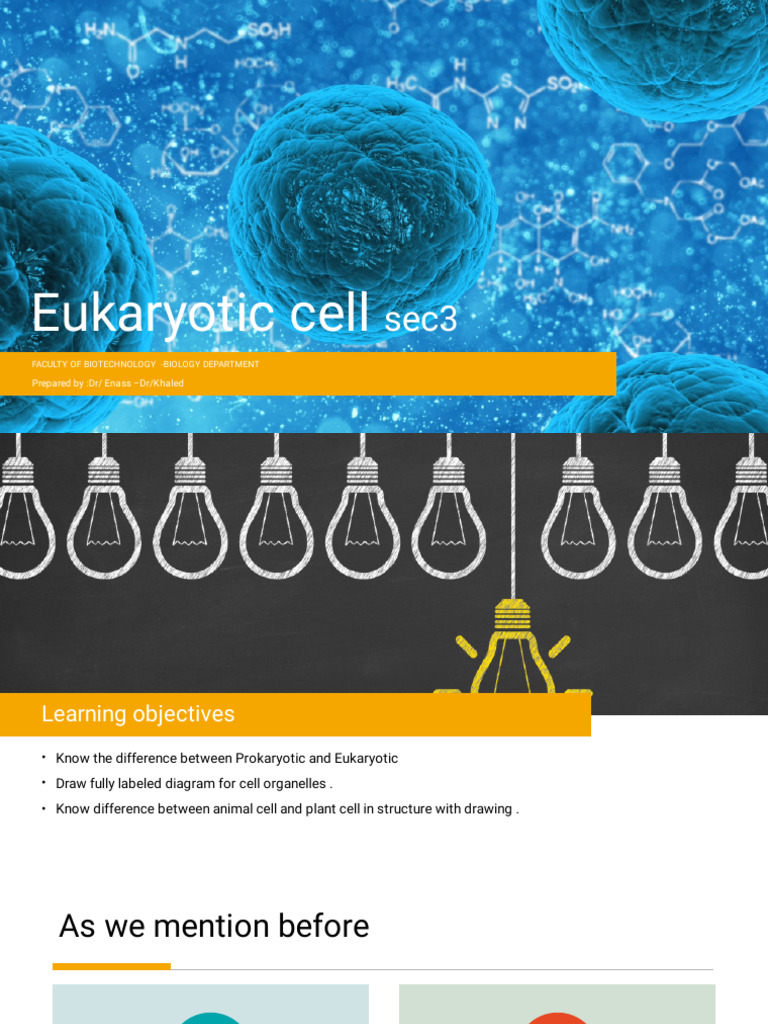 Sec 3 | PDF | Cell Membrane | Endoplasmic Reticulum
