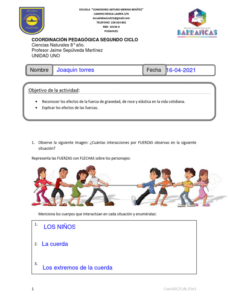 Guia 8° Fuerzas 2 | PDF | Gravedad | Fuerza