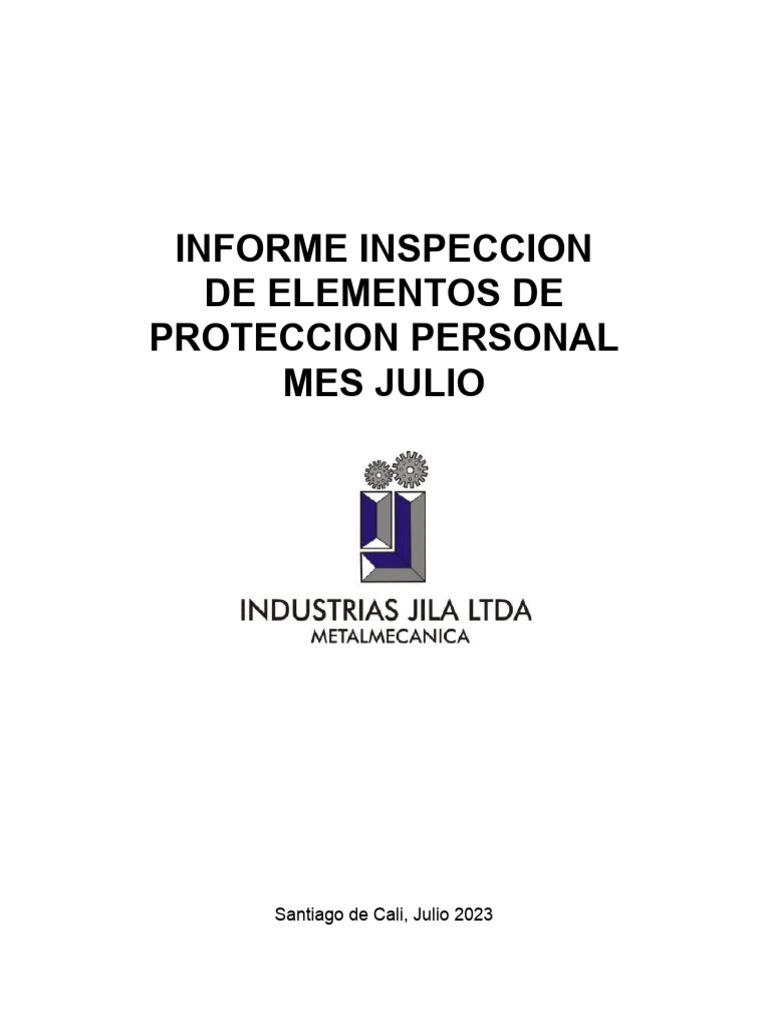 Informe Inspeccion de Epp Julio | PDF
