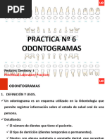 Ejercicios Nomenclaturas | PDF | Diente | Anatomia dental