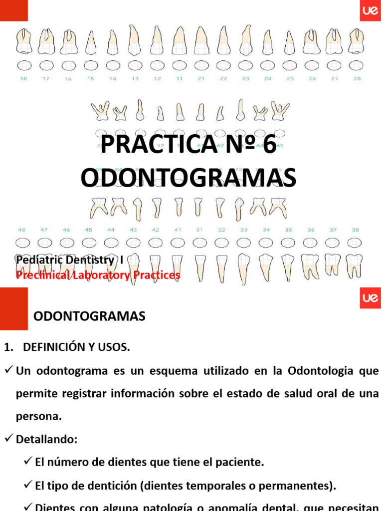 P6 PRESENTACION ODONTOGRAMAS ANK ESPAÑOL | PDF | Odontología | Diente