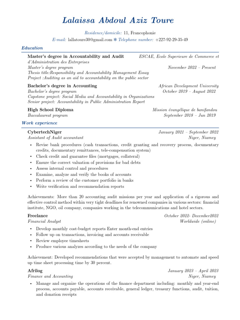 Accounting & Audit Career Profile | PDF | Accounting | Audit