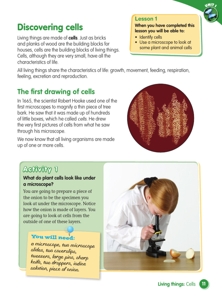 Class 6 Science: Discovering Cells | PDF | Cell (Biology) | Plants
