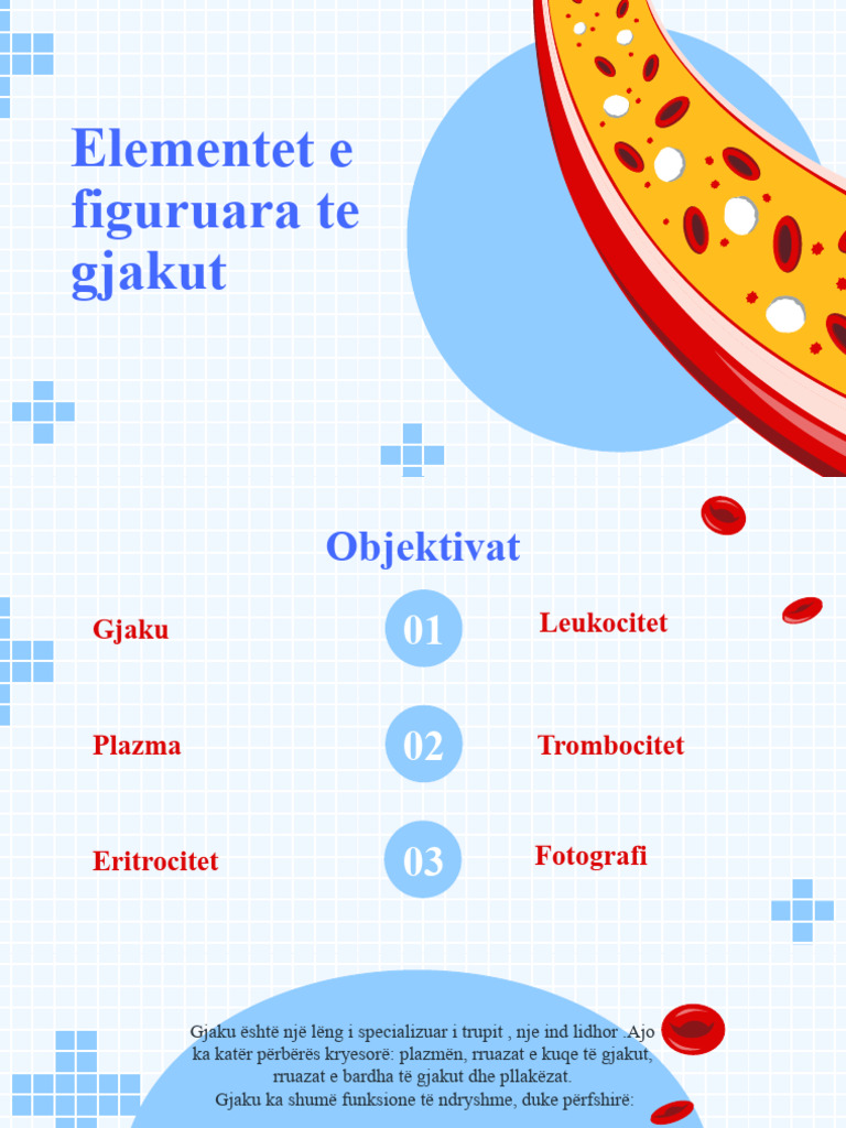 Gjaku | PDF