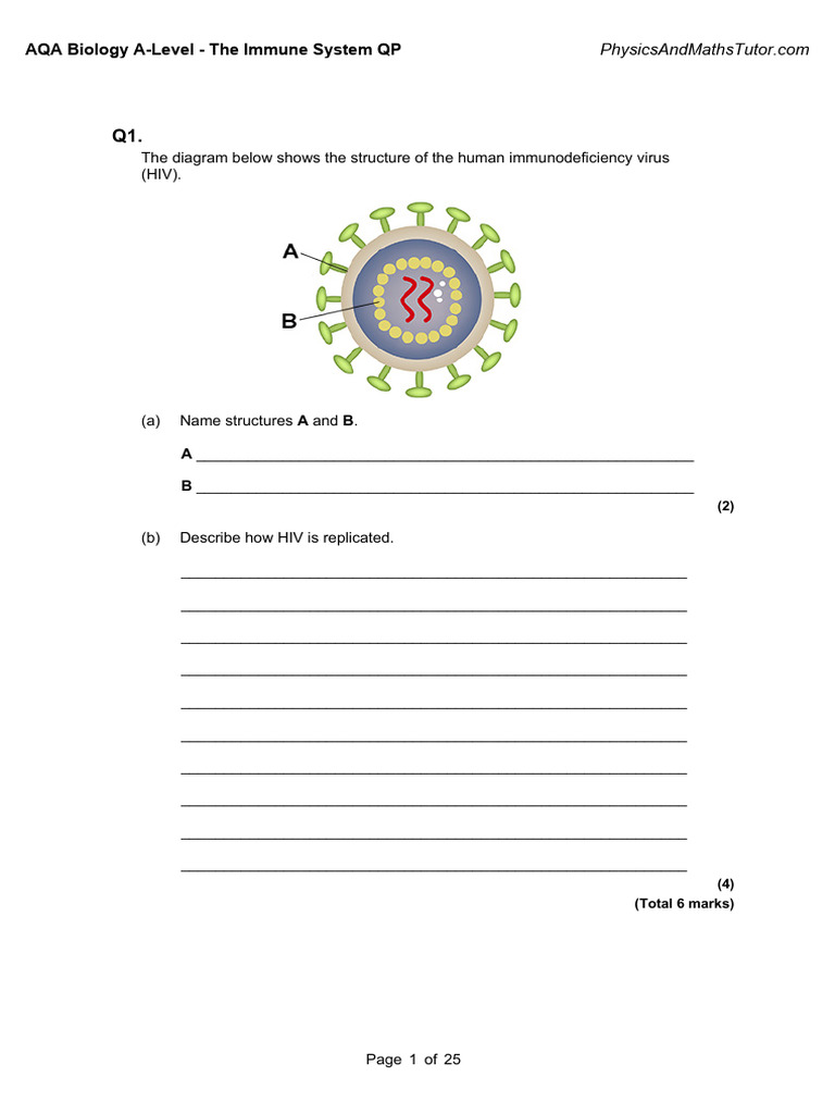 2.4 The Immune System QP | PDF | Hiv | Virus