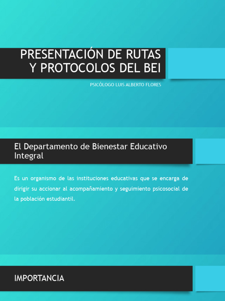 Presentación de Rutas y Protocolos Del Bei | PDF | Derechos humanos