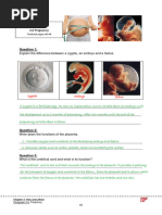 Maternity Case Record Book Guidelines | PDF | Childbirth | Pregnancy