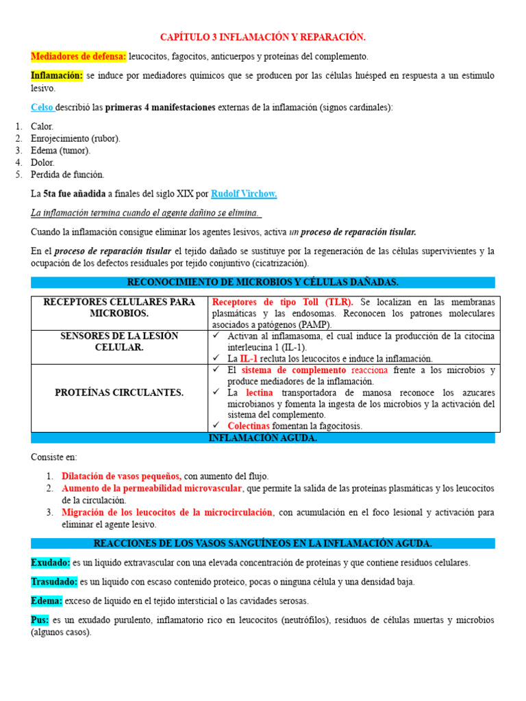Capítulo 3 Inflamación y Reparación | PDF | Inflamación | Sistema complementario