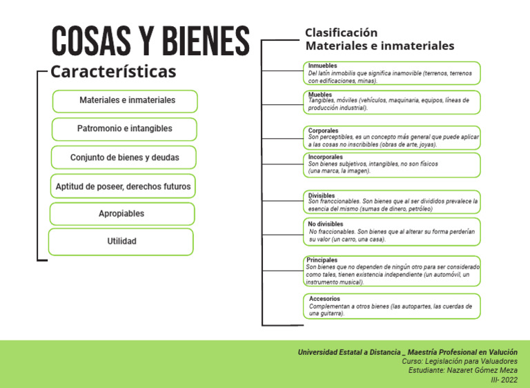 Clasificación de Bienes: Materiales e Inmateriales | PDF