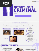 Músculos de La Espalda | PDF | La columna vertebral | Vértebra