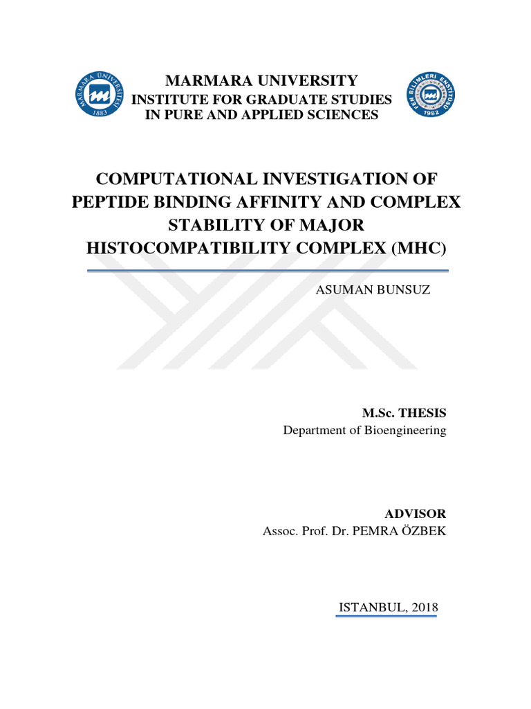 Computational Investigation of Peptide Binding Affinity and Complex Stability of Major ...