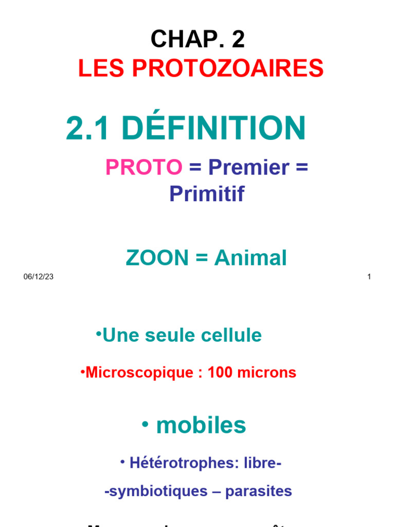 Introduction aux protozoaires : caractéristiques et classification ...