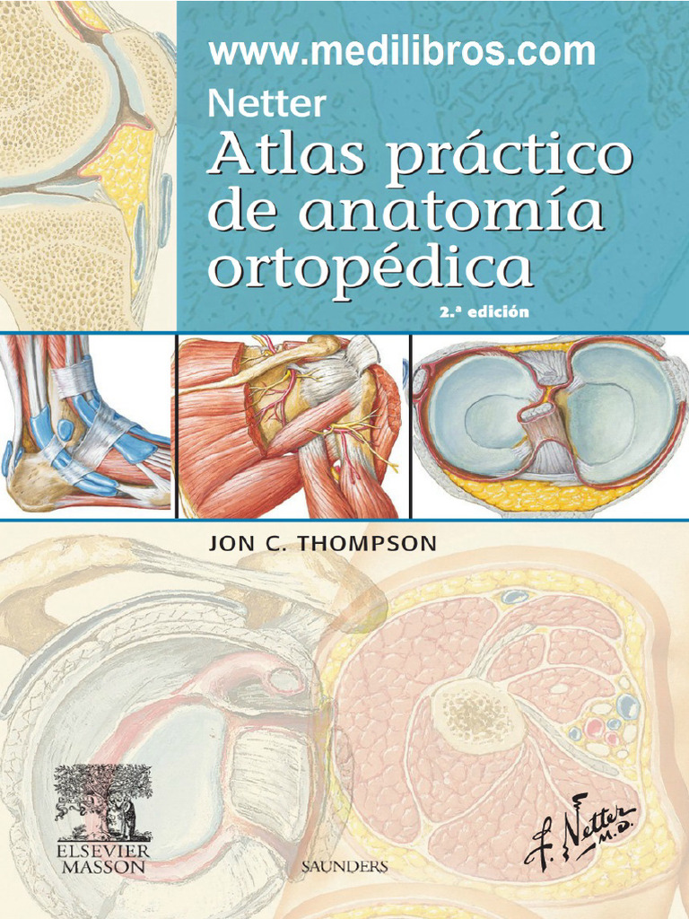 Netter Atlas Practico de Anatomia Ortopedica 2da Edicion | PDF