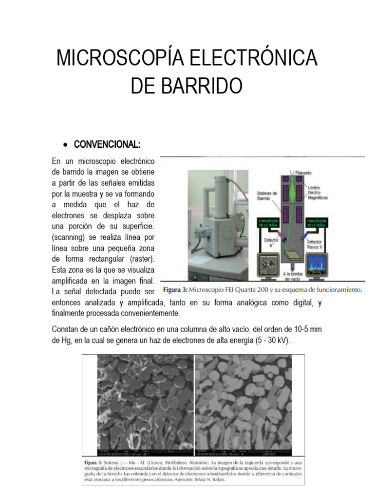 Microscopía Electrónica de Barrido | PDF | Métodos y materiales de ...