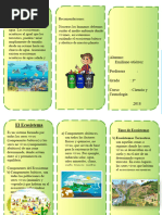Triptico Ecosistema Terrestre | PDF | Ecosistema | Suelo