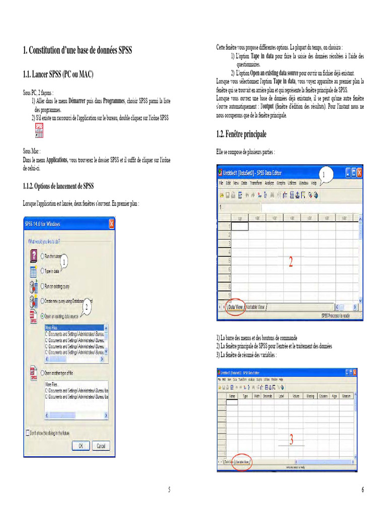Support Spss | PDF | Microsoft Excel | Fichier informatique