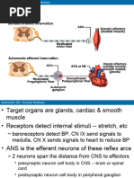 Human Body Systems Lesson Plan 1 | PDF | Bone | Human Body