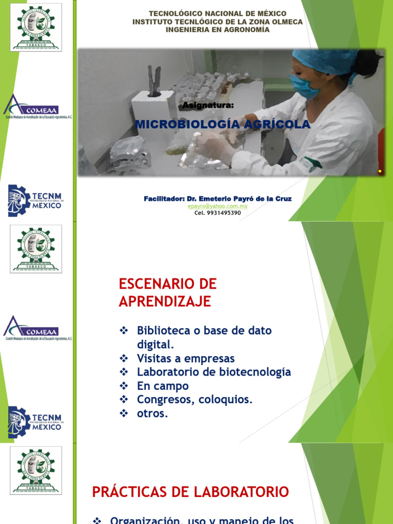 Microbiologia Tema 1 | PDF | Microbiología | Microorganismo