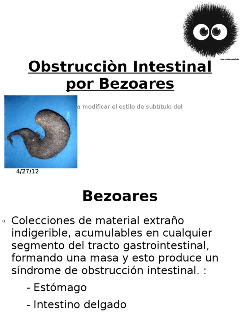 Obstrucciòn Intestinal Por Bezoares | PDF | Endoscopia | Especialidades ...
