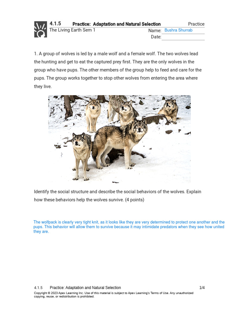 4.1.5 Practice - Adaptation and Natural Selection (Practice) | PDF ...